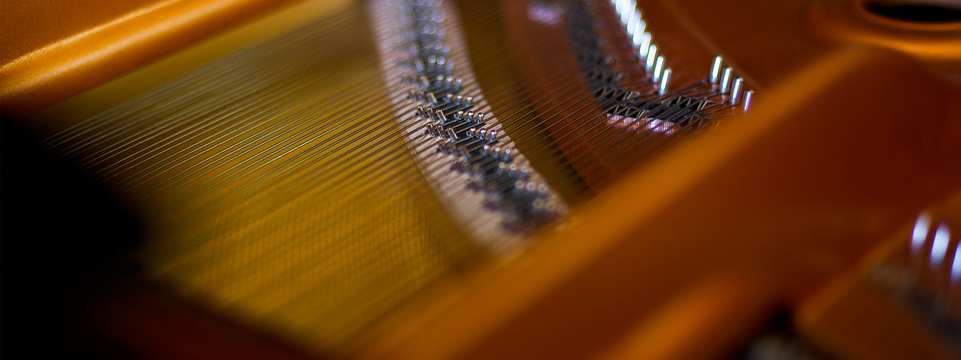 F. Lammot Belin Arts Scholarship